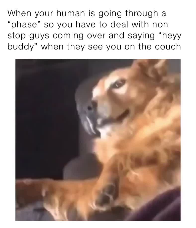 When your human is going through a “phase” so you have to deal with non ...