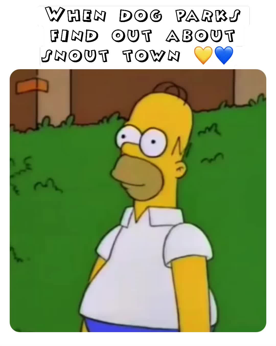 When dog parks find out about snout town 💛💙 | @Snout | Memes