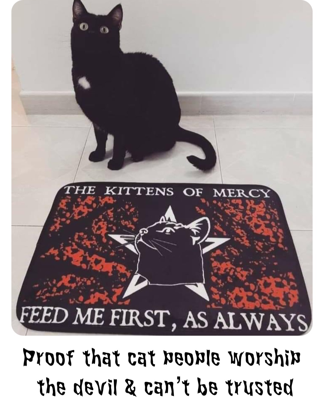 Proof that cat people worship the devil & can’t be trusted | @Tao_of ...