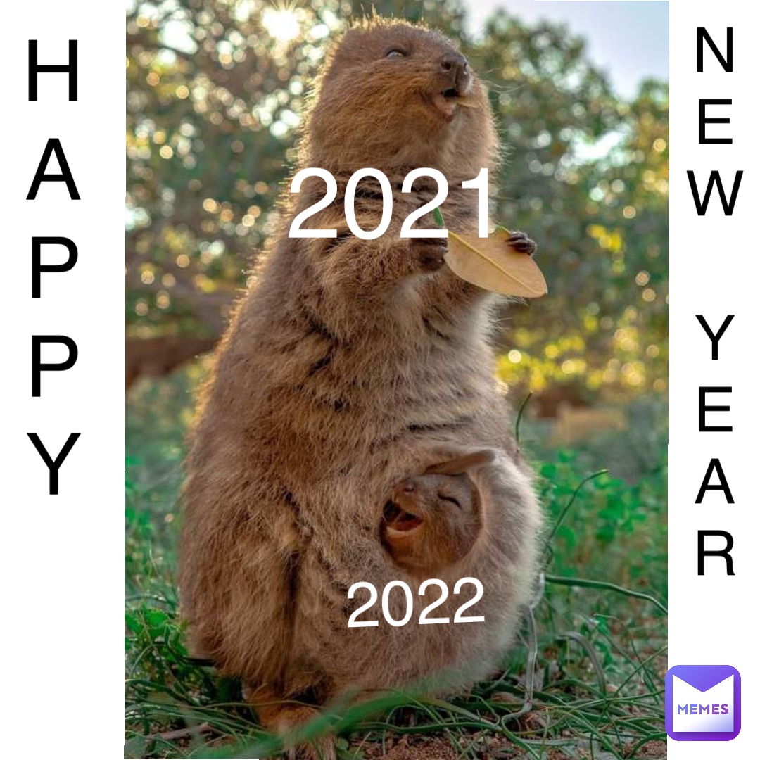 2021 2022 H A P P Y N E W Y E A R | @Radicalmemez | Memes