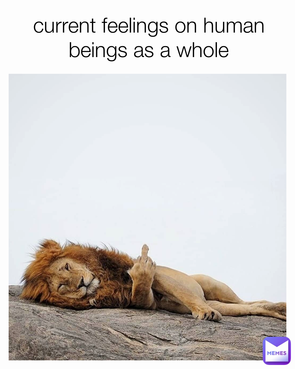 current feelings on human beings as a whole | @Radicalmemez | Memes