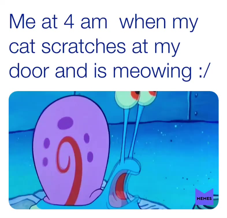 Post by @_justina_memes_it_ | Memes