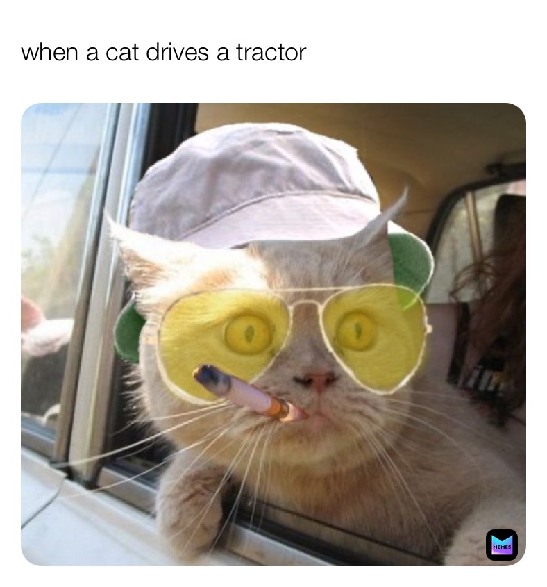 Post by @code_lazar_yeet | Memes