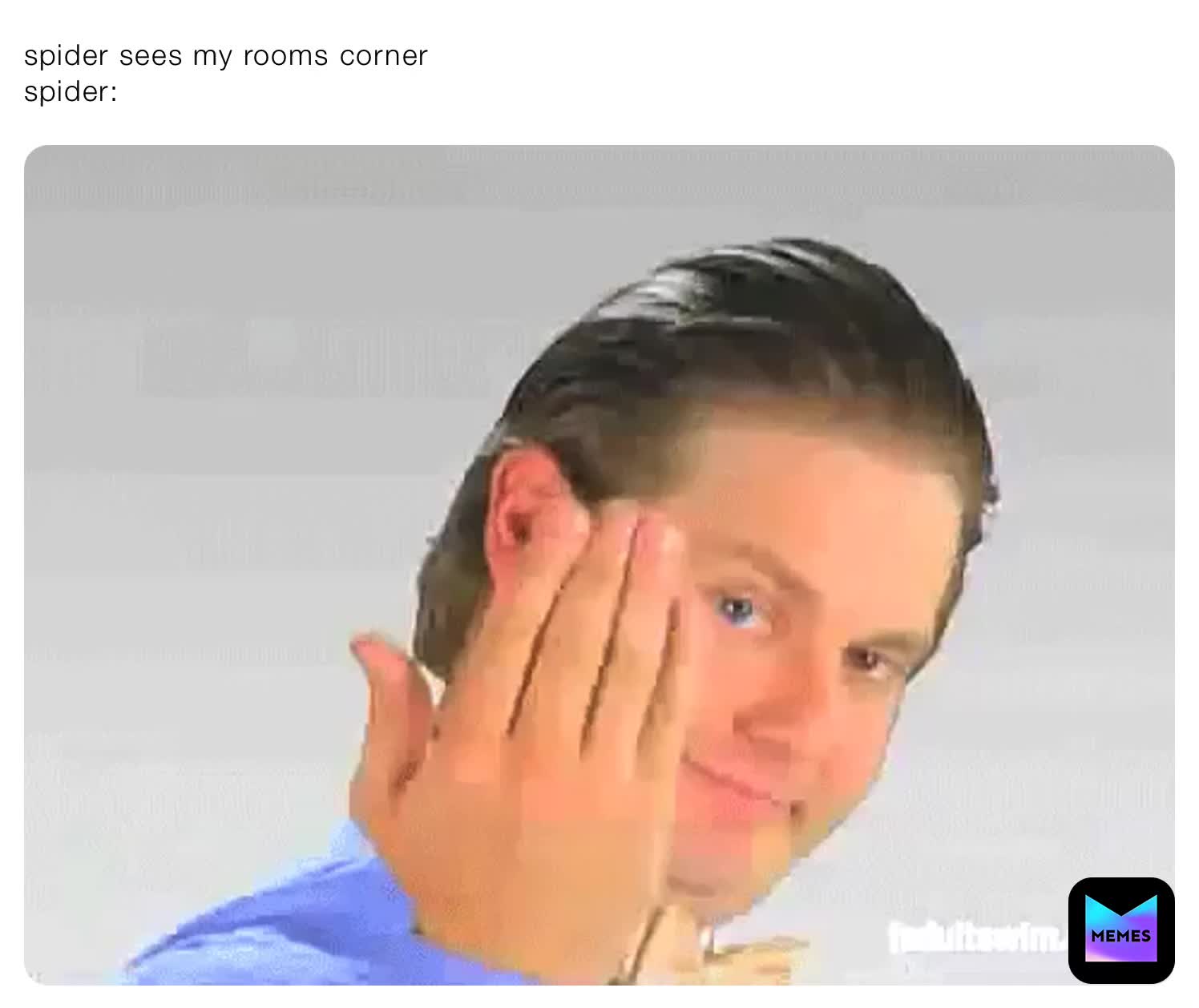 spider sees my rooms corner spider: | @shuriken_gaming | Memes