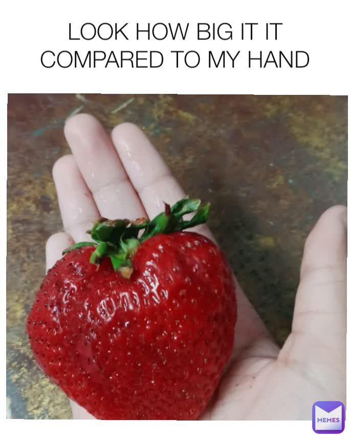 LOOK HOW BIG IT IT COMPARED TO MY HAND | @Creepypasta_geek | Memes
