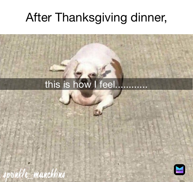 Post by @sprinkle_munchkins | Memes