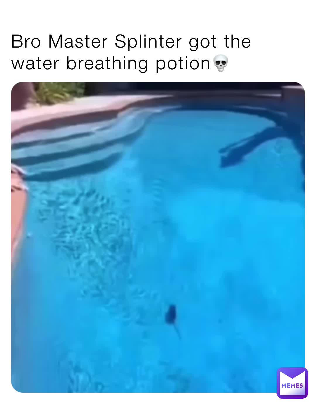 Bro Master Splinter got the water breathing potion💀 | @kait_gray13 | Memes