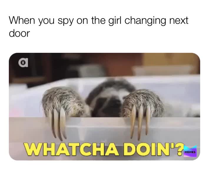 Post by @bbbbbbbb__bbb_bbbbbb_b_b_b_ | Memes