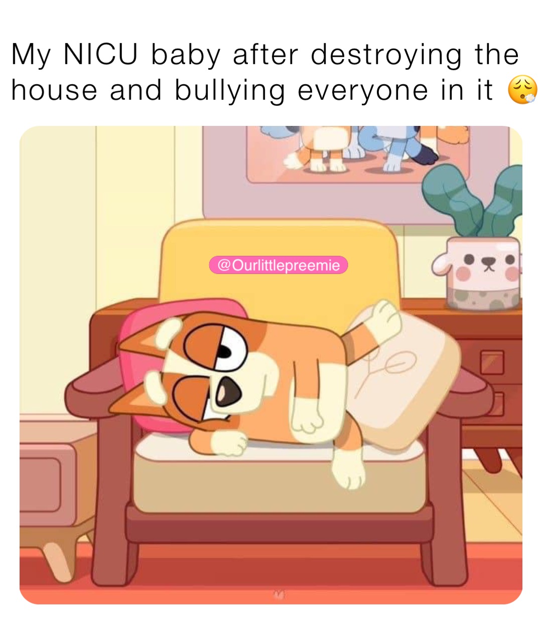 My NICU baby after destroying the house and bullying everyone in it 😮‍💨 ...