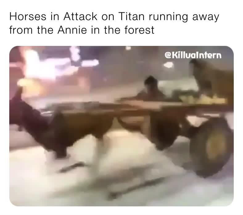 Horses in Attack on Titan running away from the Annie in the forest ...