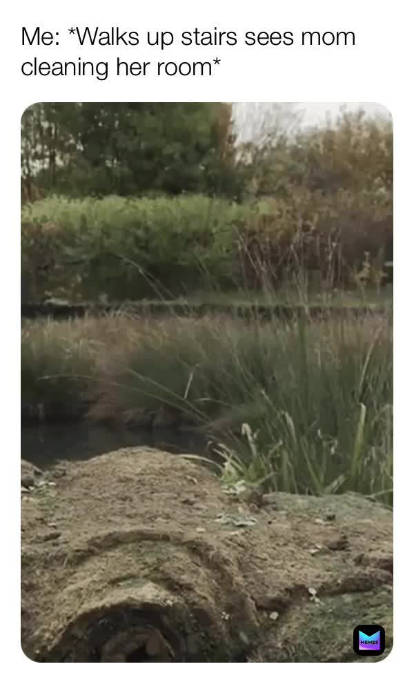 Post by @chileanyways_111 | Memes