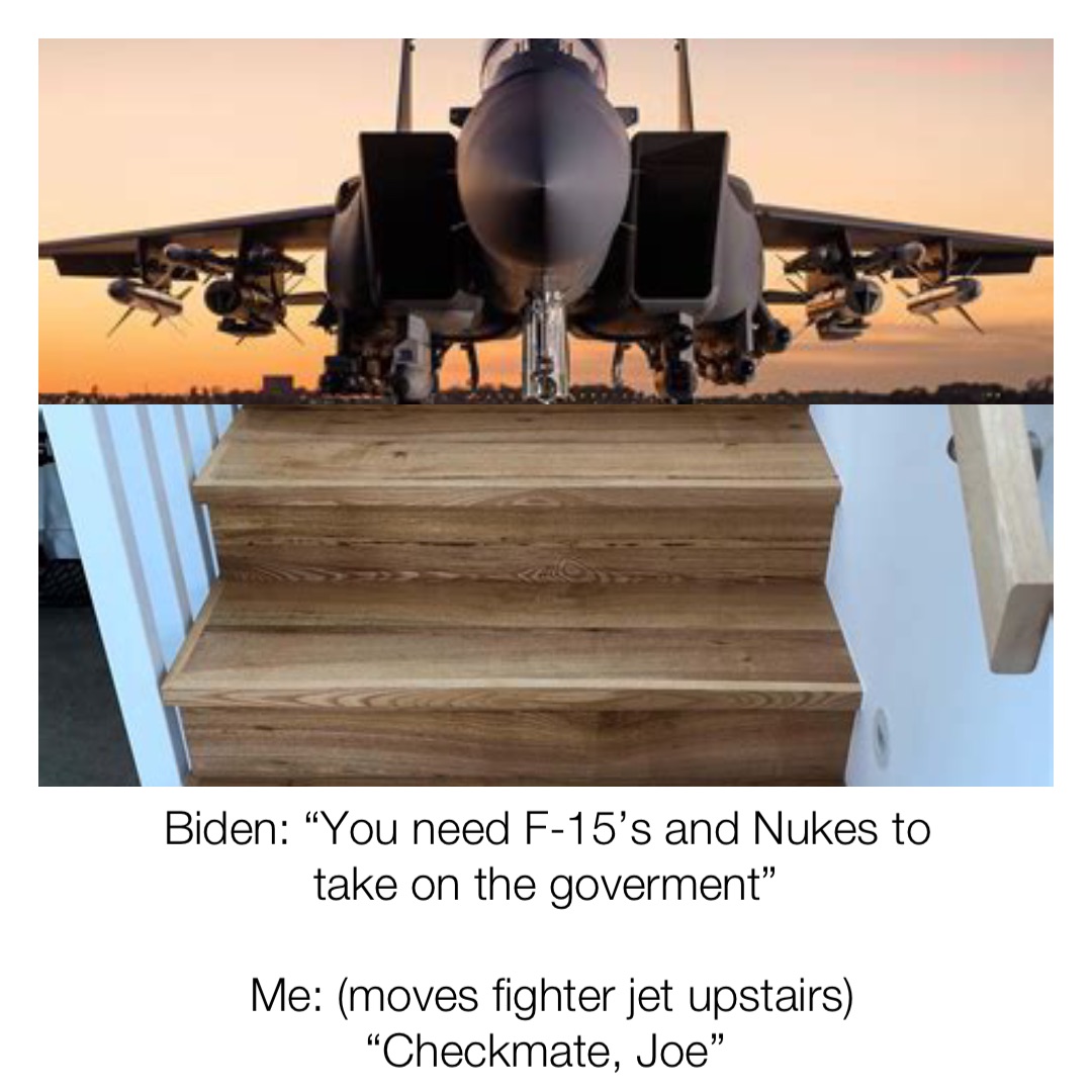 Biden: “You need F-15’s and Nukes to take on the goverment” Me: (moves fighter jet upstairs ...