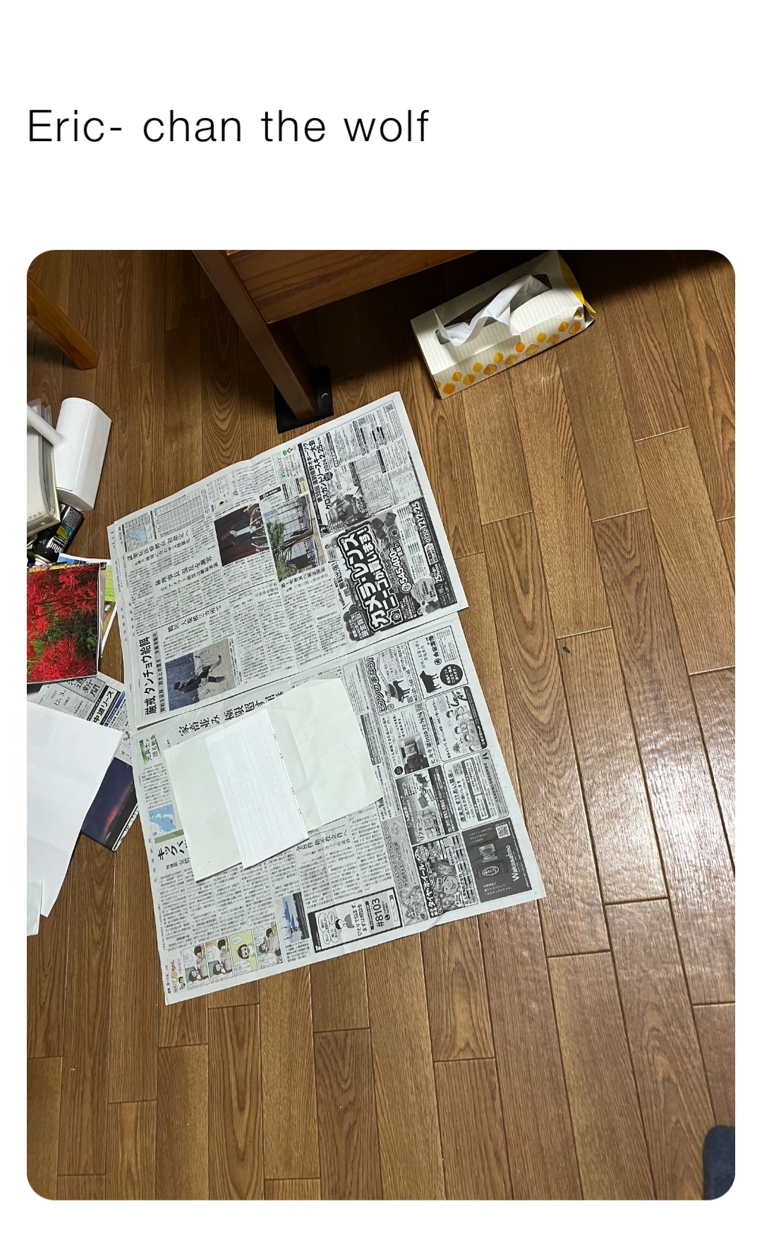 Eric- chan the wolf | @qkazusi_zero | Memes