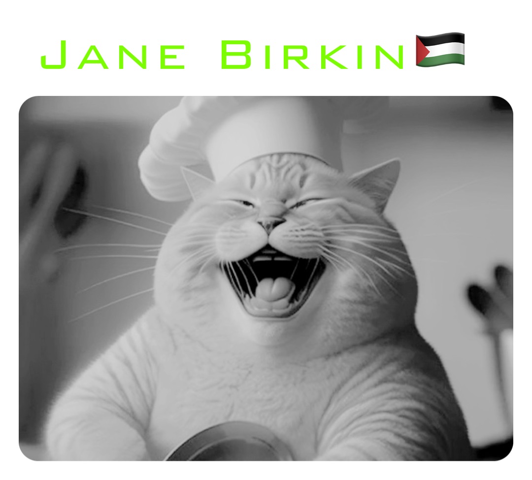 Jane Birkin🇵🇸 | @qkazusi_zero | Memes