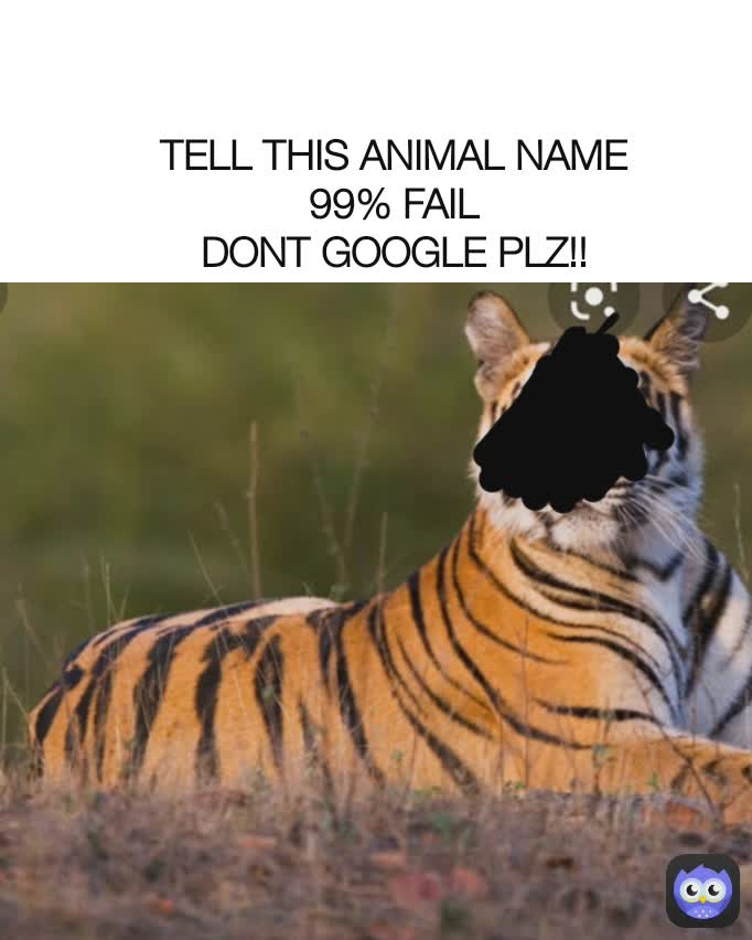 TELL THIS ANIMAL NAME 99% FAIL DONT GOOGLE PLZ!! | @ROXK_MEME | Memes
