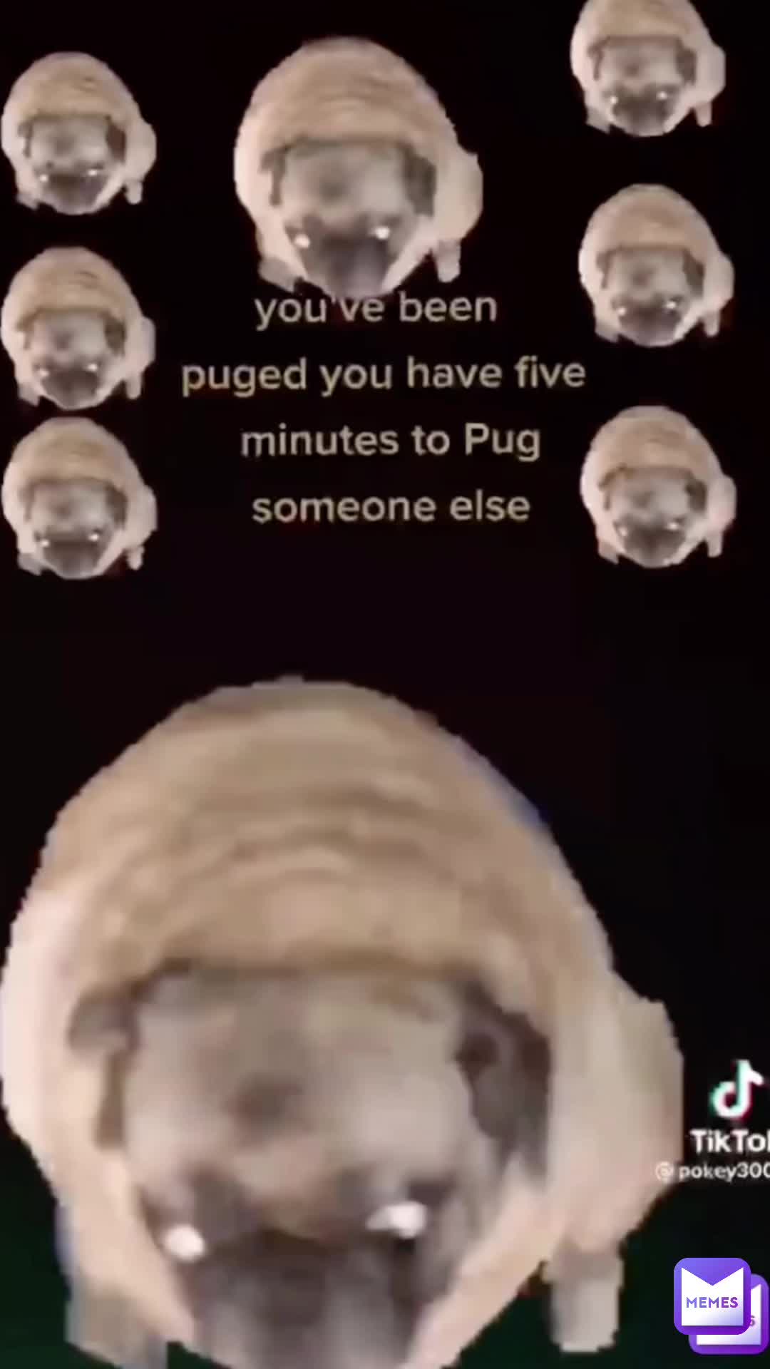 Double tap to edit | @mew_Mew109 | Memes