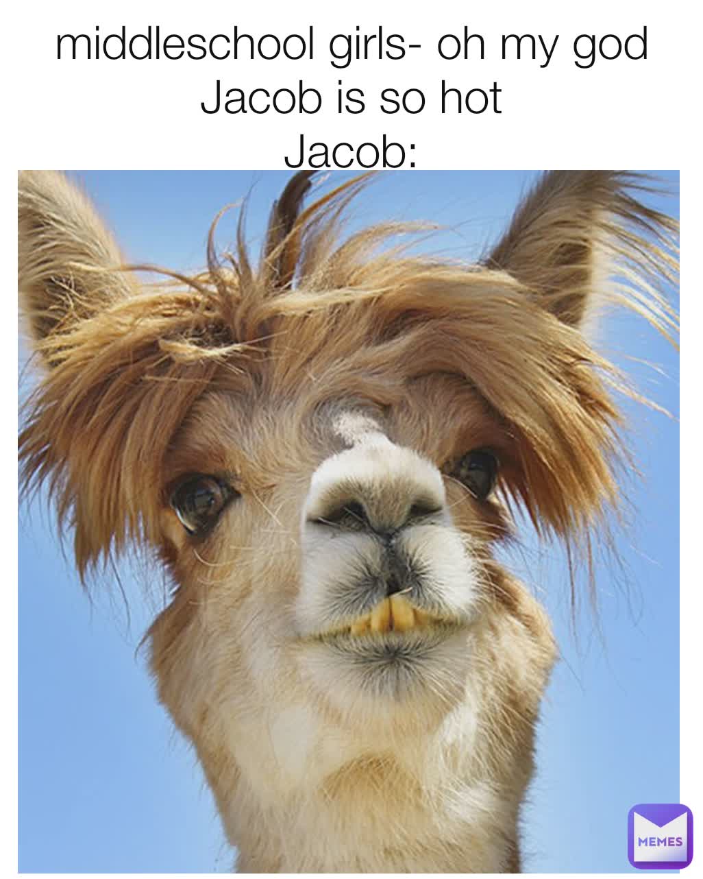 middleschool girls- oh my god Jacob is so hot Jacob: | @_justdalila_ ...