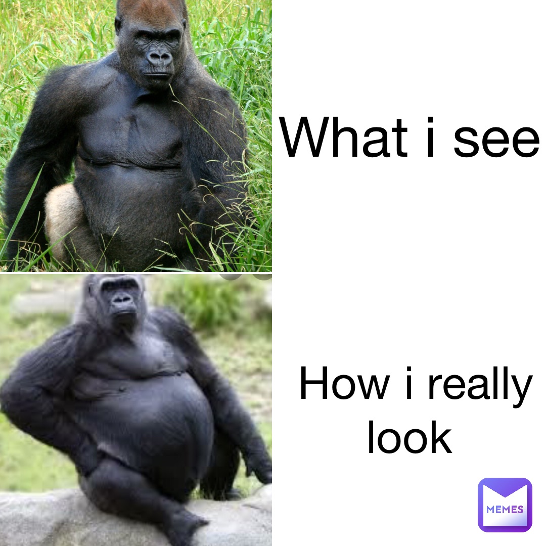 What I see How I really look | @caskalebas | Memes