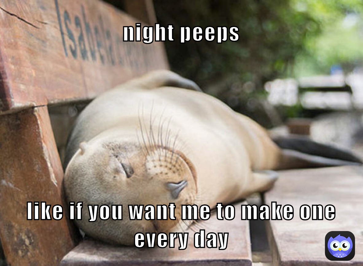 night peeps like if you want me to make one every day | @cattoncandy ...