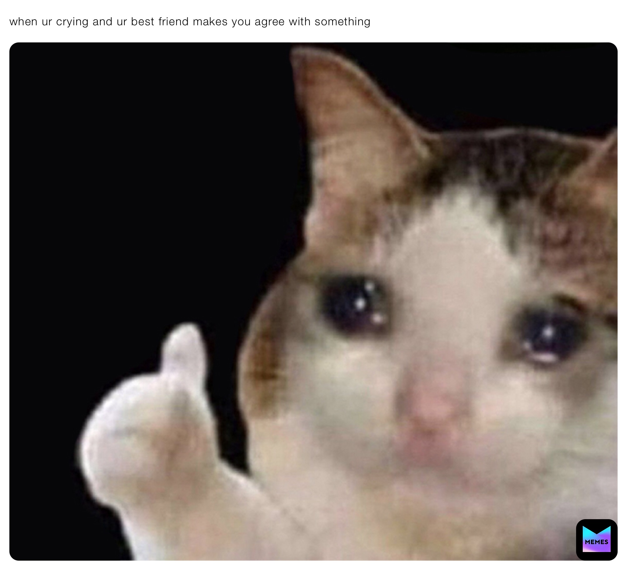 when ur crying and ur best friend makes you agree with something ...