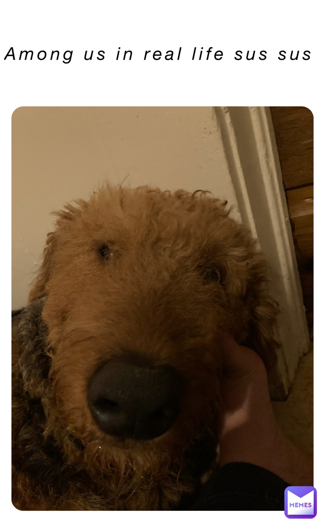 Among us in real life sus sus | @loga6093 | Memes