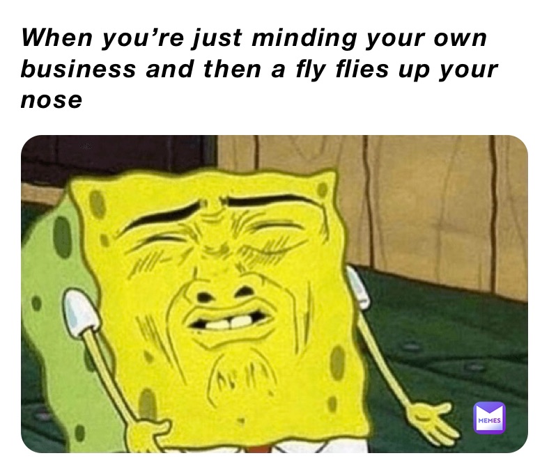 When you’re just minding your own business and then a fly flies up your ...