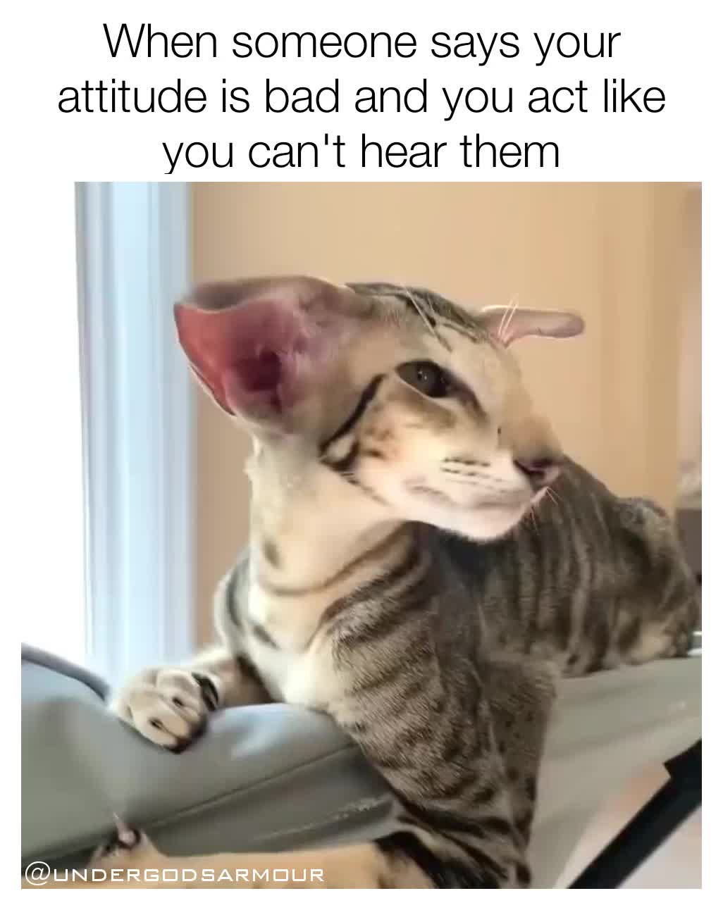 @undergodsarmour When someone says your attitude is bad and you act ...