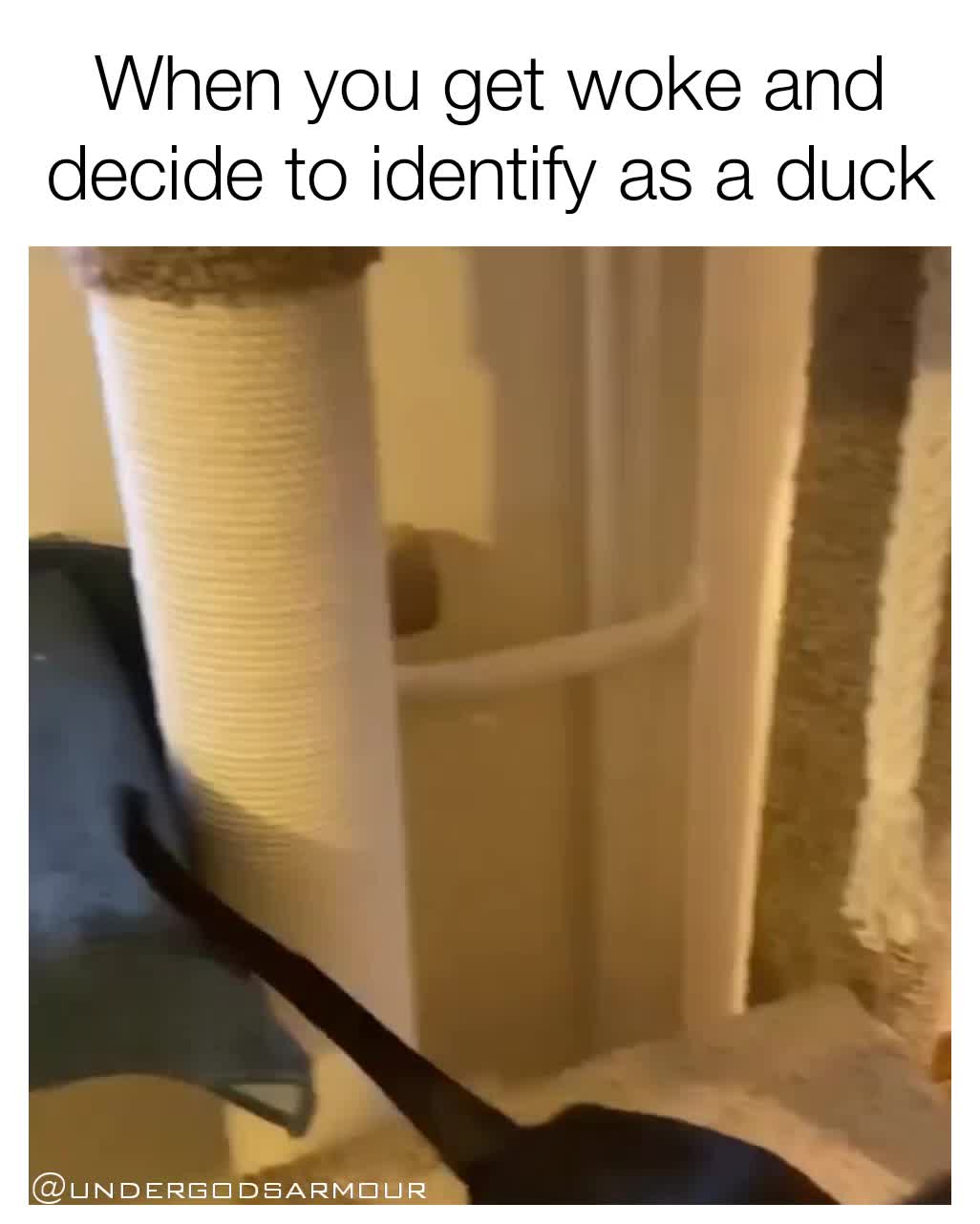 When you get woke and decide to identify as a duck @undergodsarmour ...