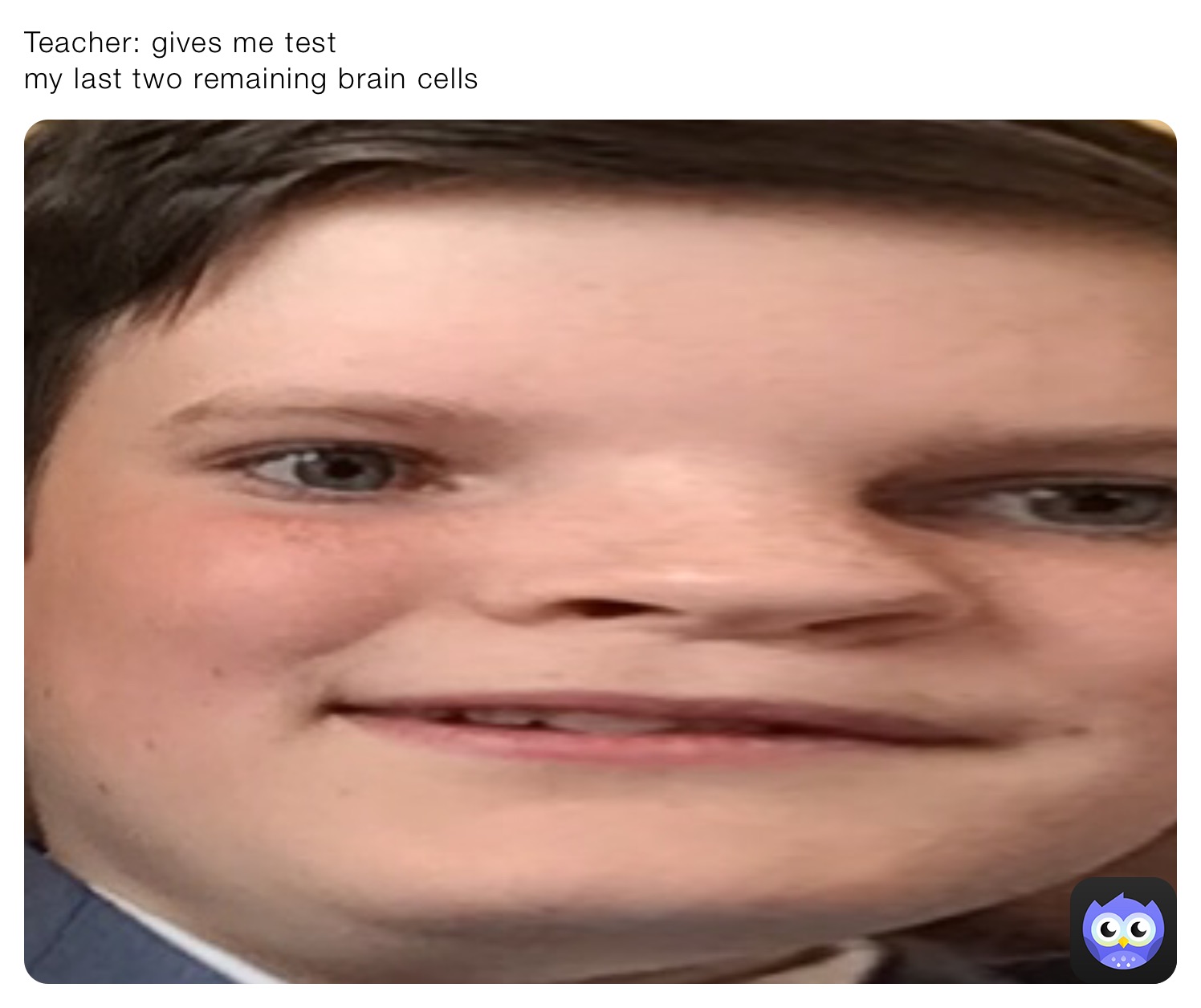 Teacher: gives me test my last two remaining brain cells | @lightray ...