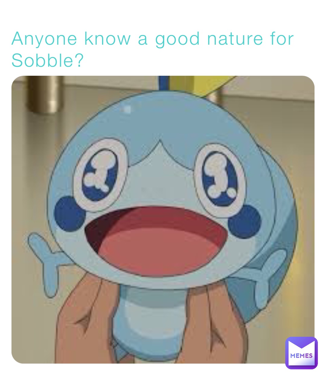 Anyone know a good nature for Sobble? | @V_Denki_Kami | Memes