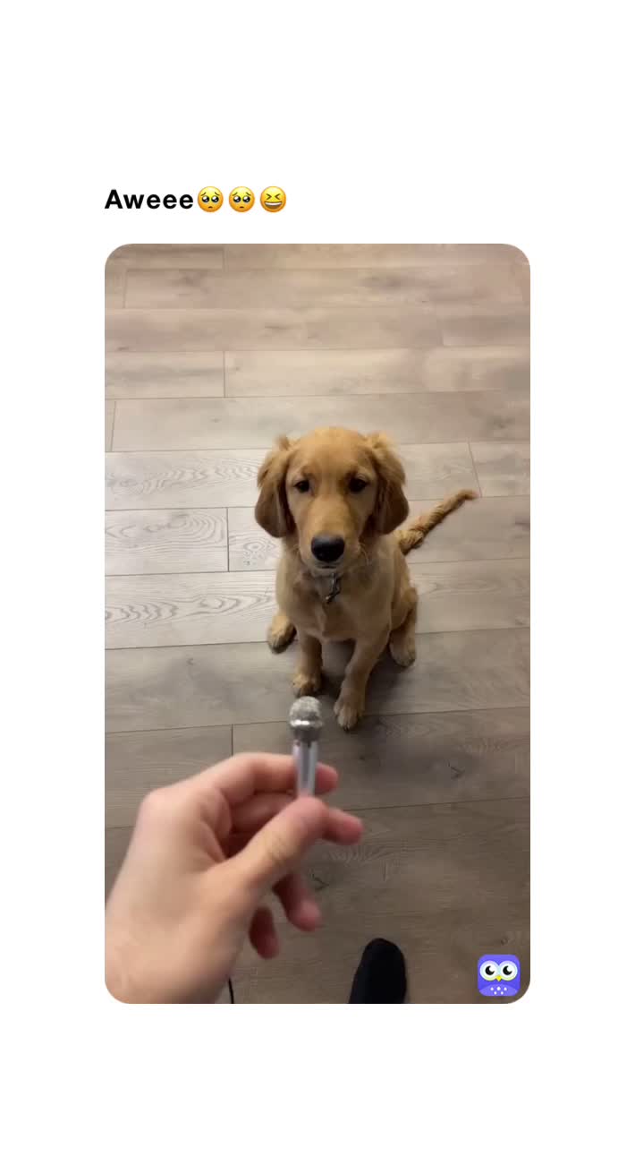 Aweee🥺🥺😆 | @gael.c28 | Memes