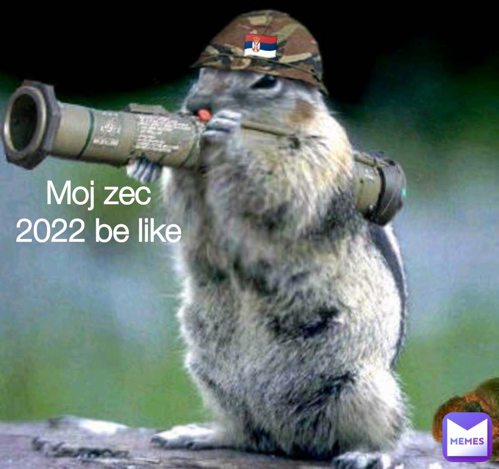 Moj zec 2022 be like 🇷🇸 | @nemanja1902 | Memes