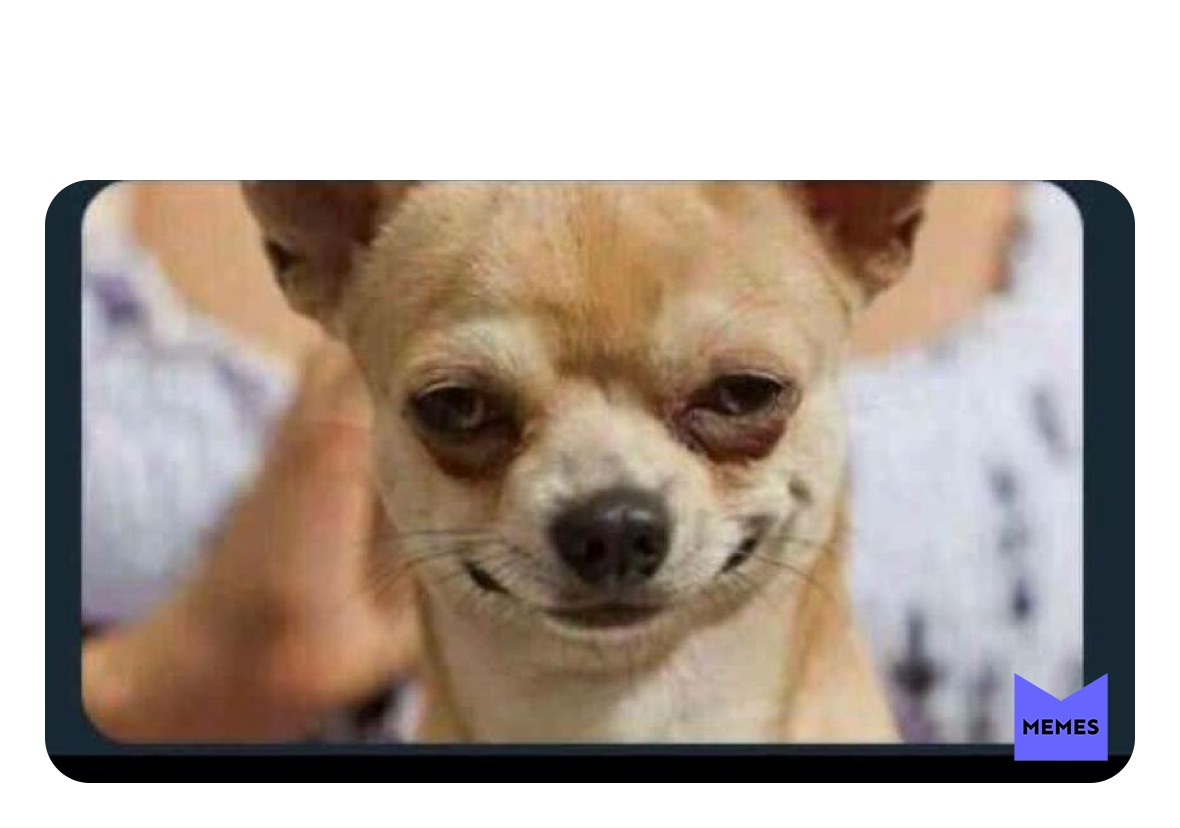 Post by @investor_jes | Memes