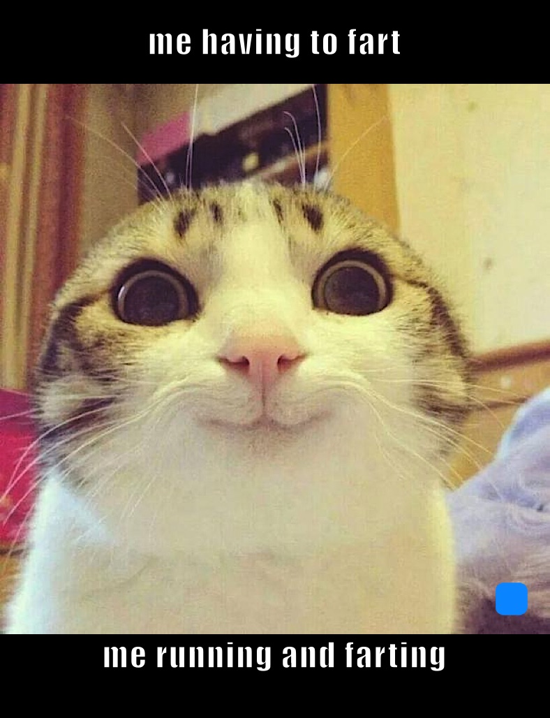 me having to fart me running and farting | @zays_little_girl | Memes