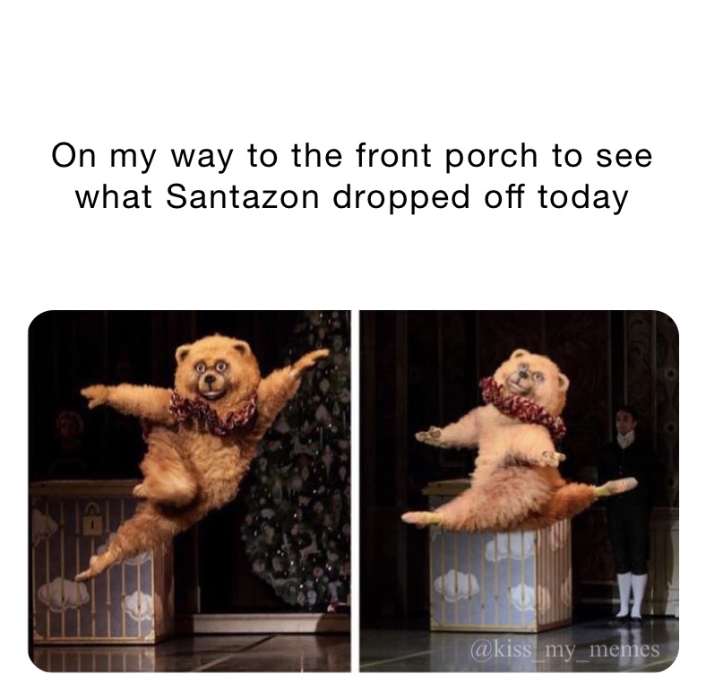 On my way to the front porch to see what Santazon dropped off today ...