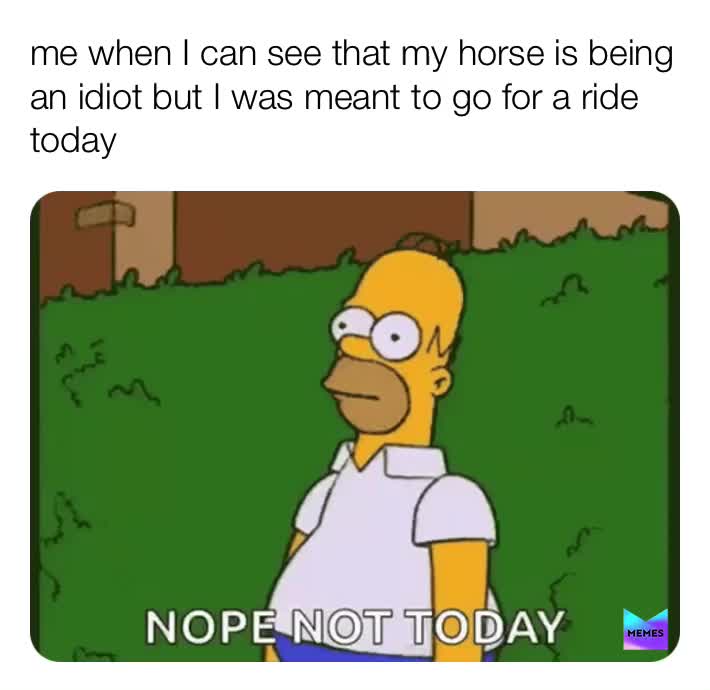 Post by @horse_memes_esme | Memes