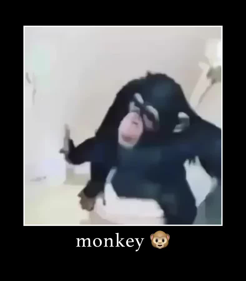 monkey 🐵 | @jonathan_1612895307 | Memes