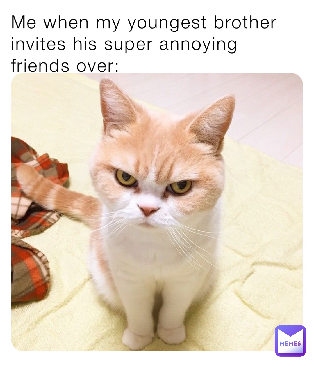 Me when my youngest brother invites his super annoying friends over ...