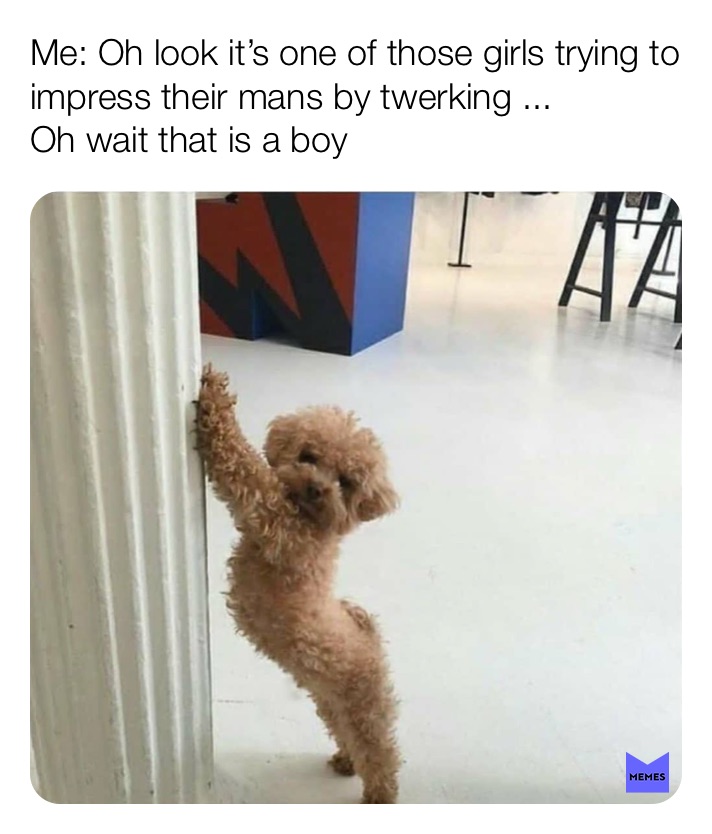 Post by @shakespeare_shooketh | Memes