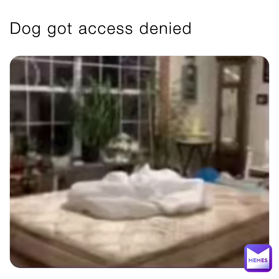 Dog got access denied | @stitchies_223 | Memes