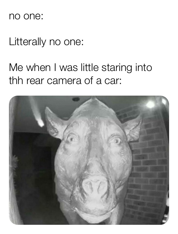 Post by @Doot_Doot_6969420 | Memes