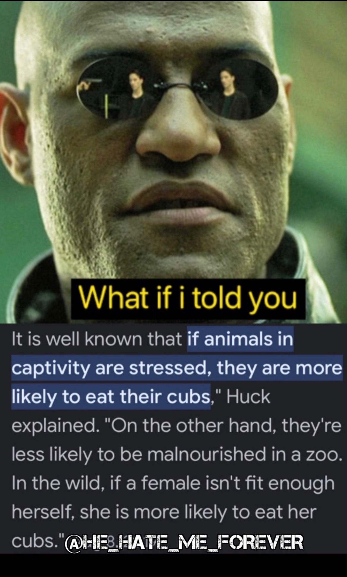 Post by @he_hate_me_forever | Memes