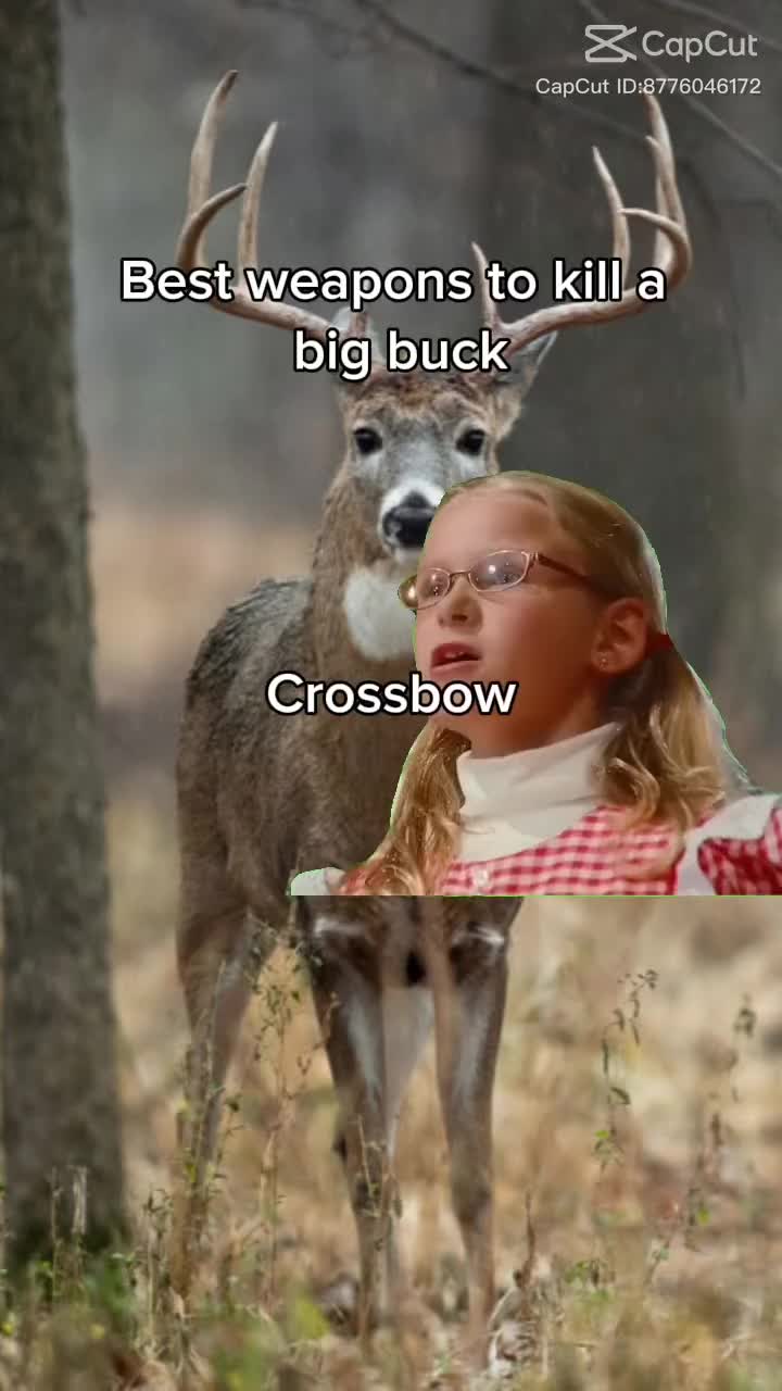 Post by @scripted | Memes