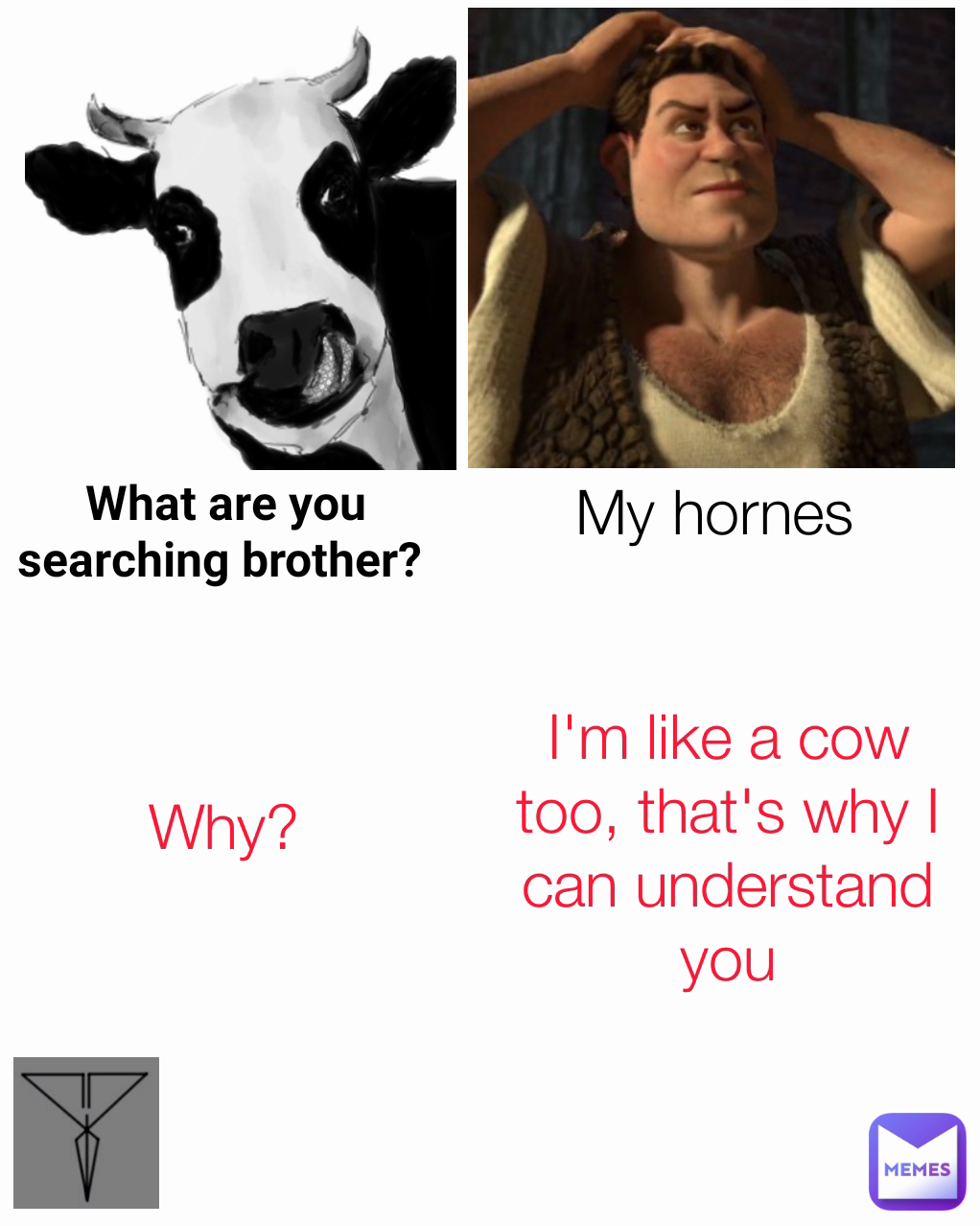 What are you searching brother? My hornes I'm like a cow too, that's ...
