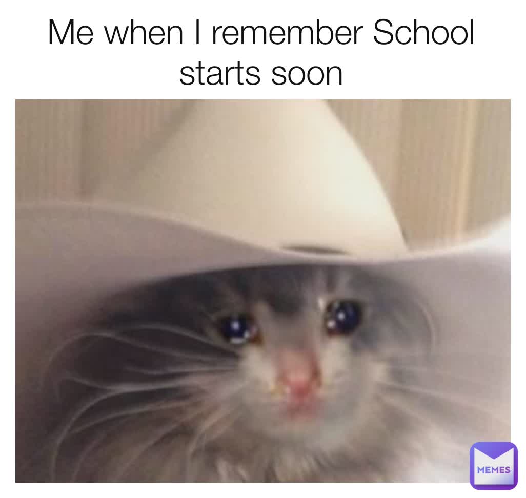 Me when I remember School starts soon | @vekig07 | Memes