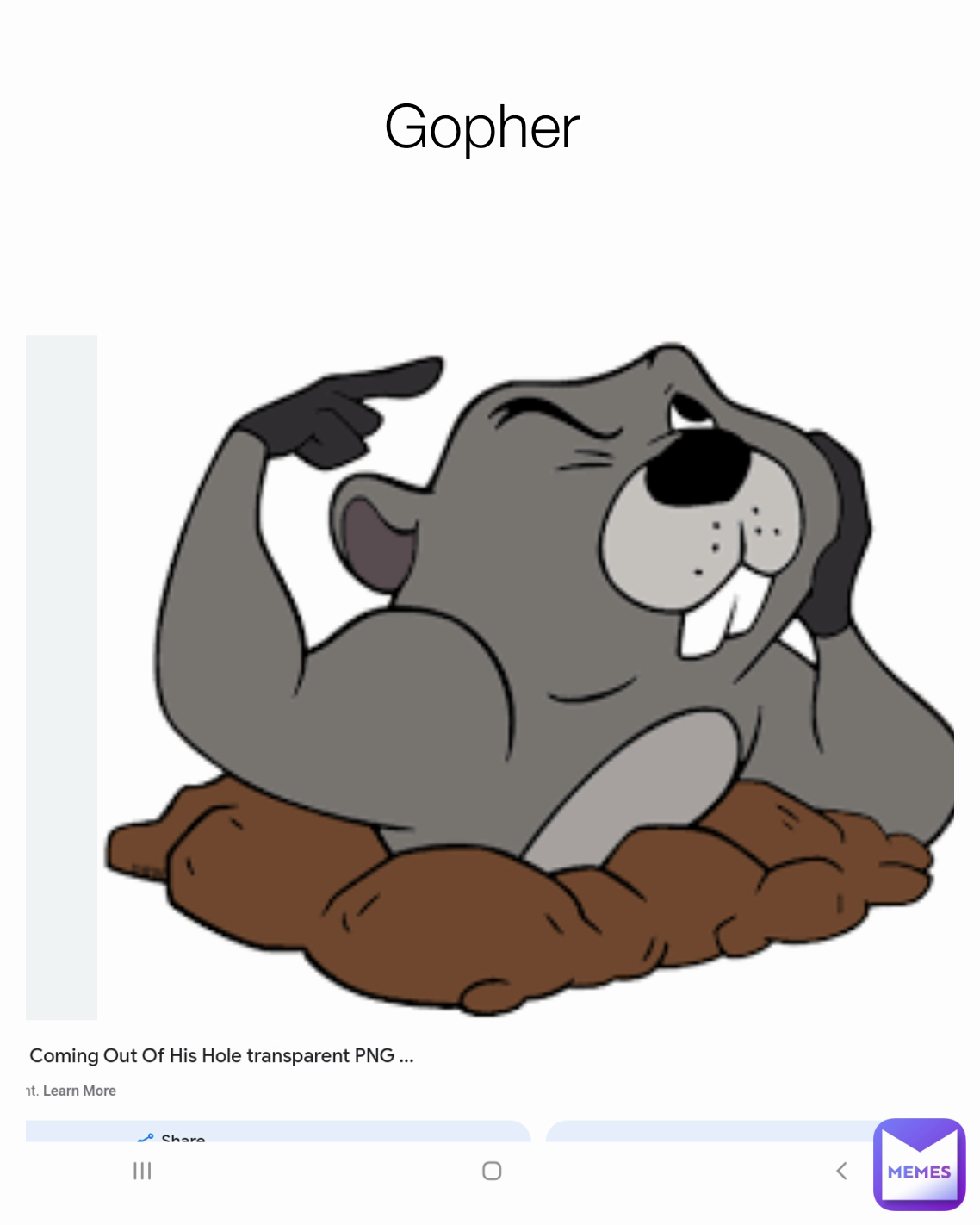 Gopher Tylerb2003 Memes