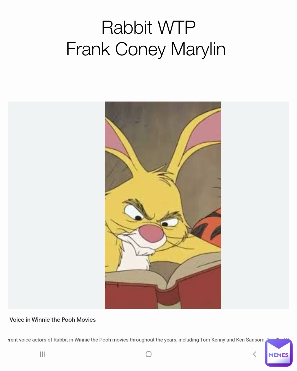 Rabbit Wtp Frank Coney Marylin Tylerb2003 Memes