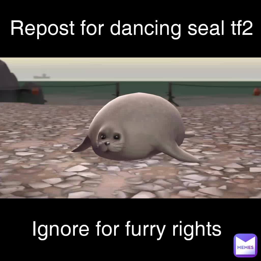 Ignore for furry rights Repost for dancing seal tf2 | @MemeManWithAHam ...