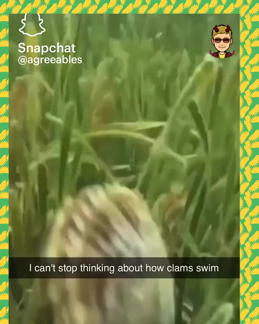 Type Text | @_.Dedra._ | Memes