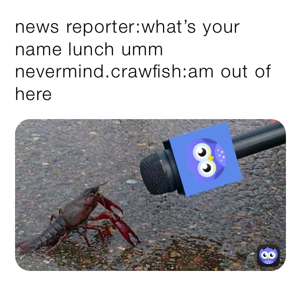 news reporter:what’s your name lunch umm nevermind.crawfish:am out of ...